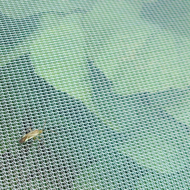 Filet anti insectes FILBIO à mailles fines - Lonobio
